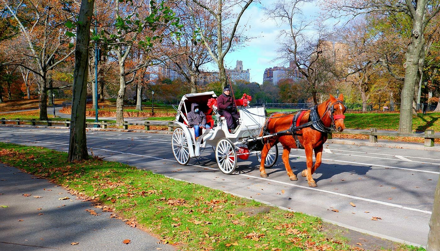Paseo en coche de caballos por Central Park - NuevaYork.com Desde $140